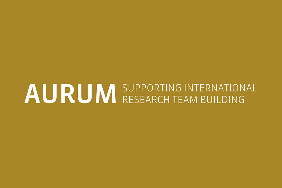Aurum Supporting International Research Team Building | Gdańsk ...